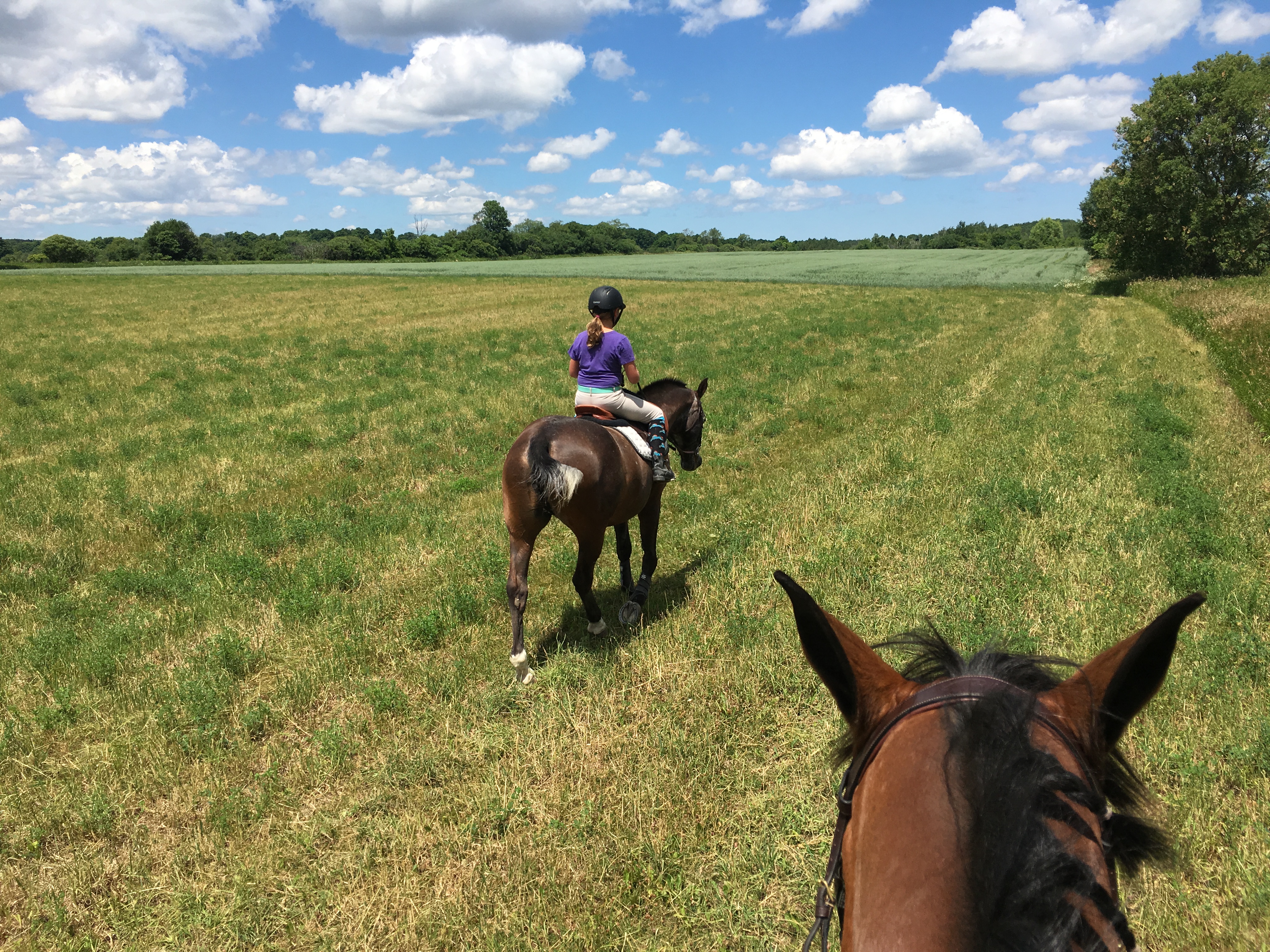 Facility | Lake House Stables Inc